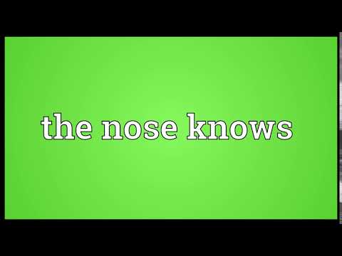 The nose knows Meaning | Wordogram