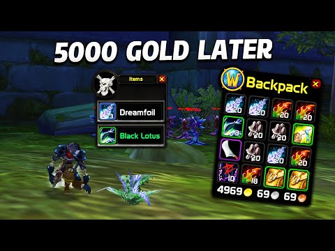 Classic WoW - Chill DM East Grind - 1 Hour with Frost