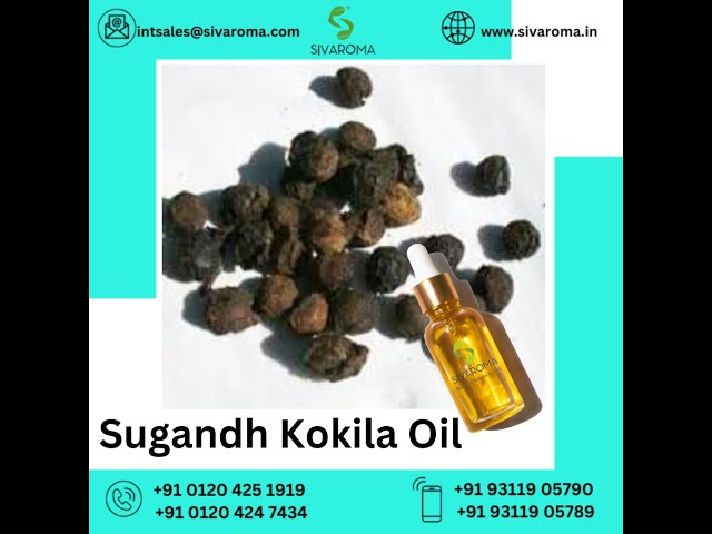 Essential Oils - Lemongrass Essential Oil Manufacturer from Noida
