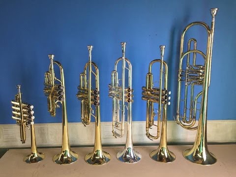 Trumpet at Best Price in India