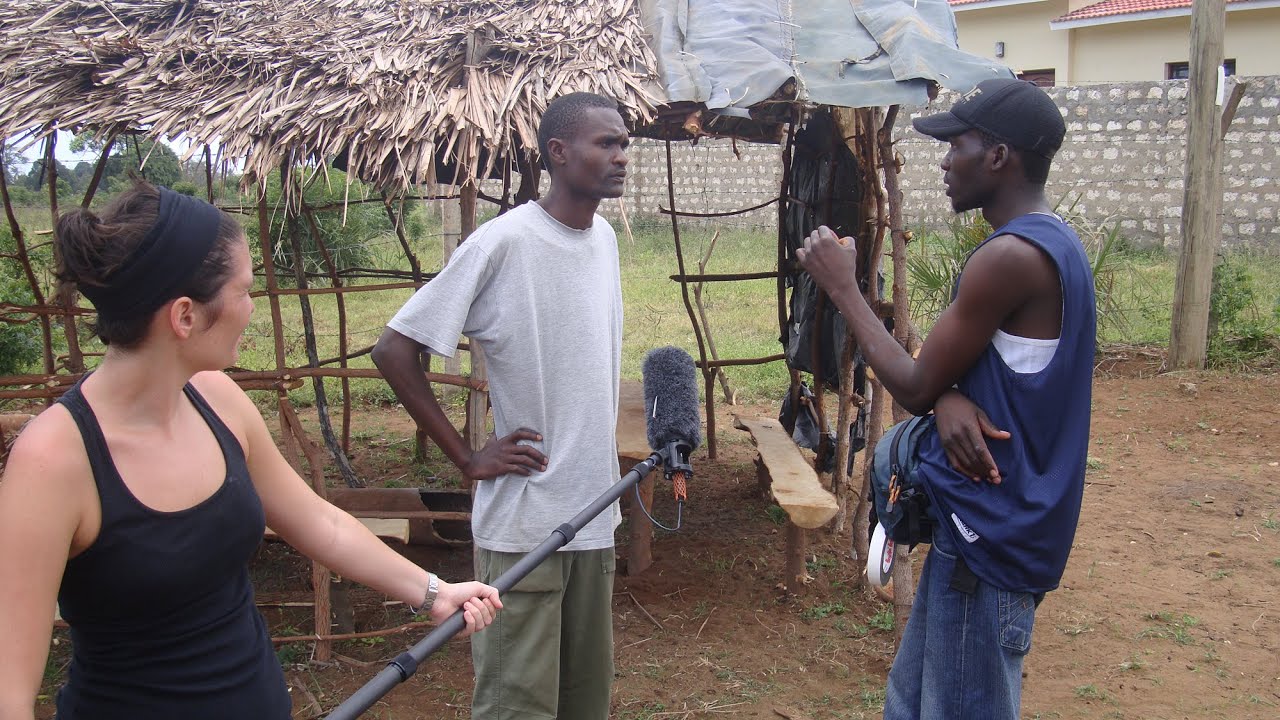 Insight Malaria - EN