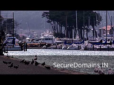 Professional solutions for Website, Domain, Hosting @ $1.99/year www.securedomains.in