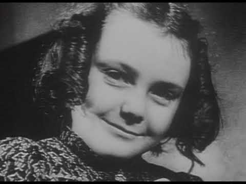 The Second World War - Cradle to the Grave