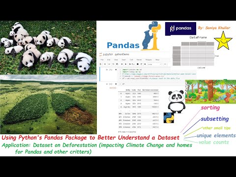 Python Pandas Dataset Analysis: Sorting, Subsetting, Unique Elements, Value Counts, and beyond!