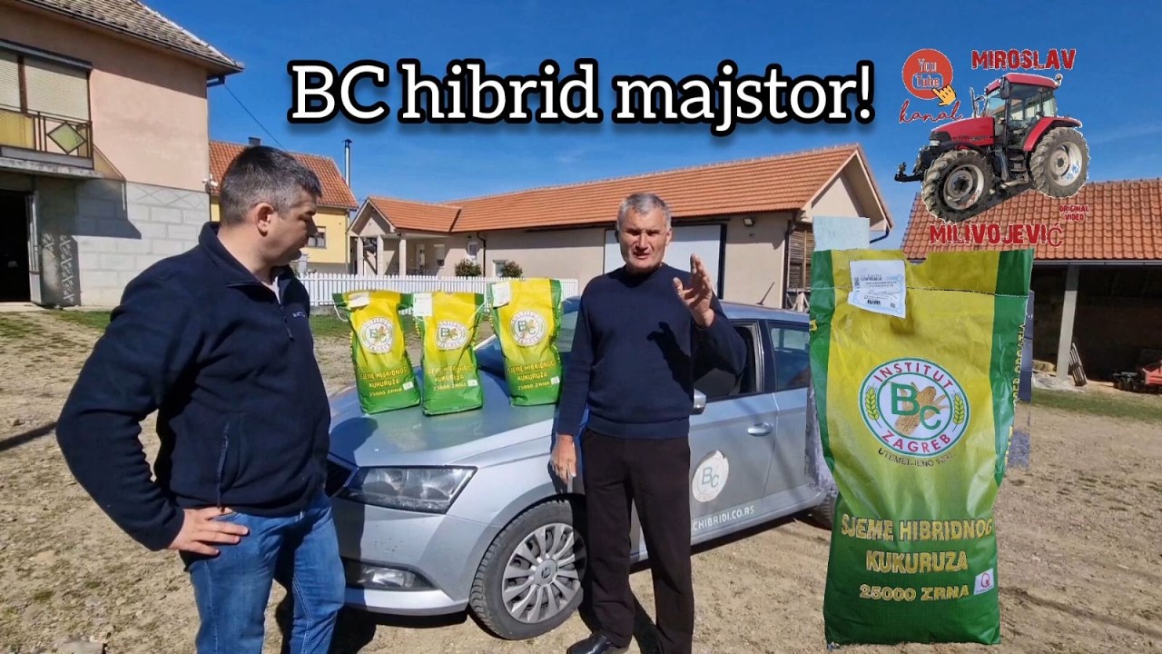 Predstavljanje BC hibrida kukuruza!