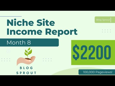 Niche Website Case Study Income Report for Blogging - Month 8 with 100,000 pageviews