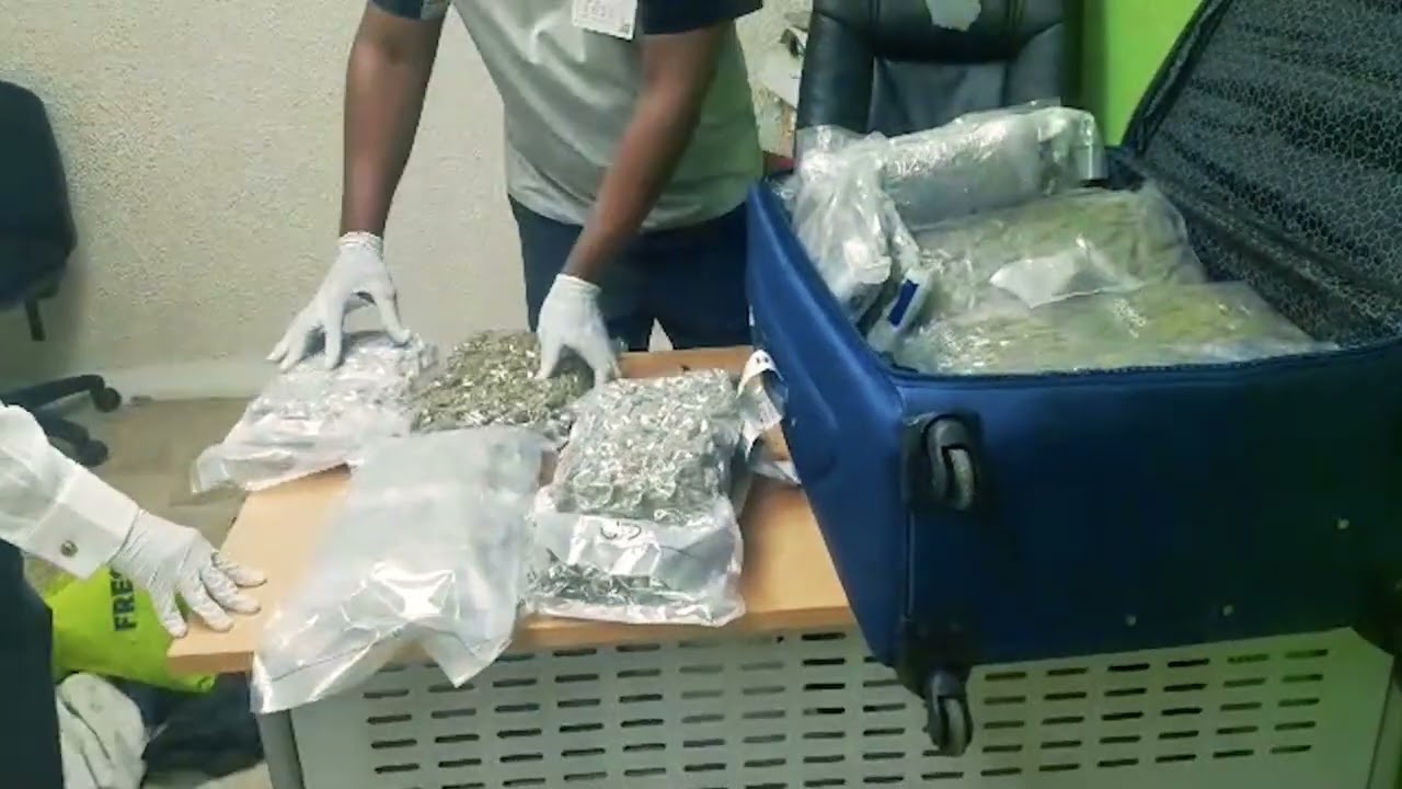 DNCD: BUSCAN MUJER DEJÓ ABANDONADA MALETA CARGADA DE MARIHUANA EN AIPC