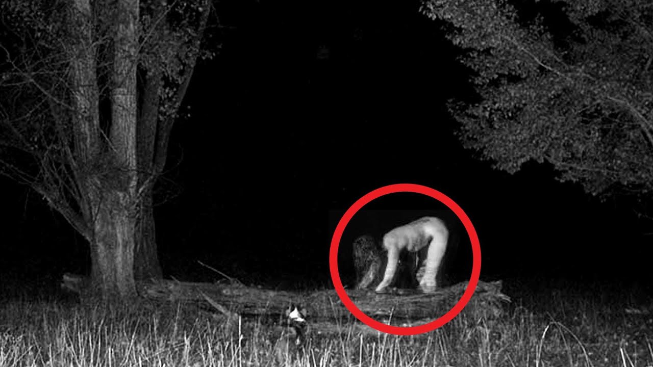 Top 5 Terrifying Skin Walker Encounters That Prove They Exist - Part 2