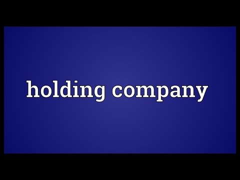 Holding company Meaning
