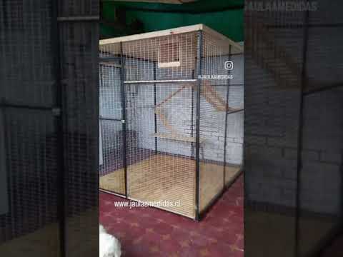Como Hacer Un Catio #gato #catlover #catio #chile #santiago #2023