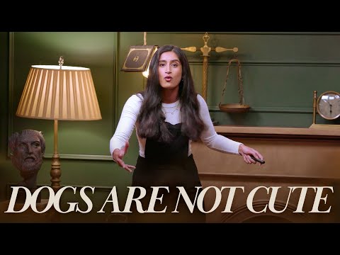 Dogs Aren't That Cute (Sorry...) | Smartypants Presentation