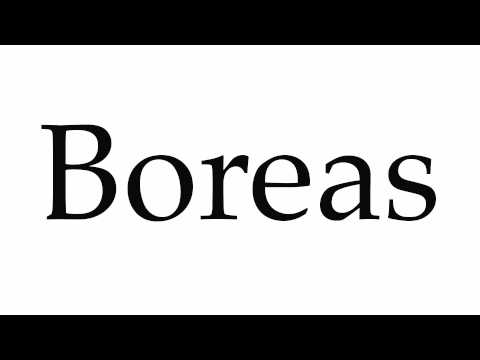How to Pronounce Boreas