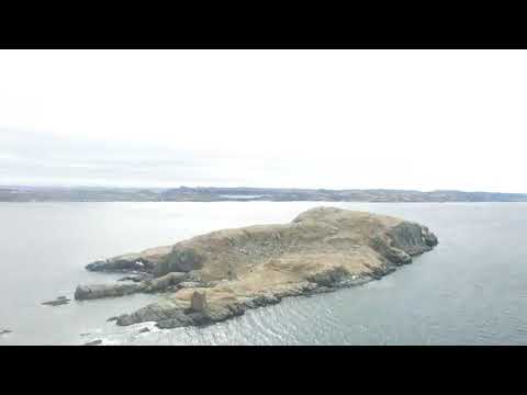 Bay Robert's NL