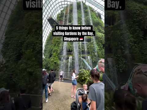 5 thing to know before visiting Gardens by the Bay Singapore! #traveltips #visitsingapore #singapore