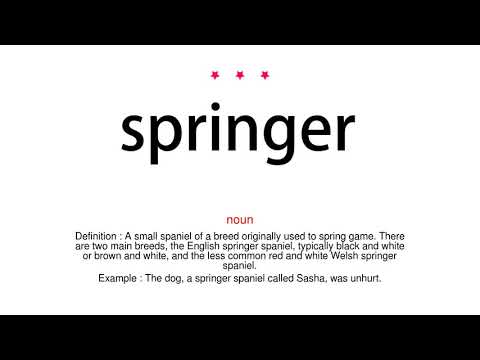 How to pronounce springer - Vocab Today