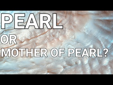 MOTHER OF PEARL VS PEARL