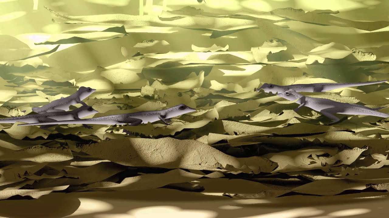Islands Evolving in Isolation: Anoles