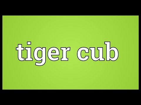 Tiger cub Meaning