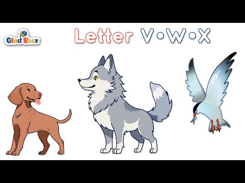 Learn letter V, W and X with Animal Names | ABCs Learning | learning video for kids and babies