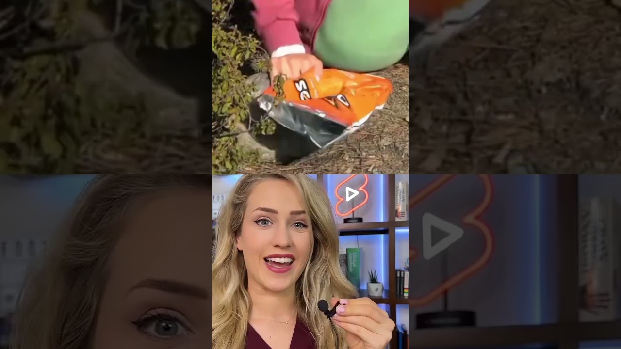 Doctor reacts: surviving a snake bite