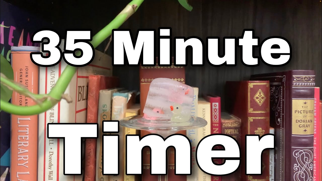 35 Minute Timer - Tiny Ducks in Ice Cube Time Lapse