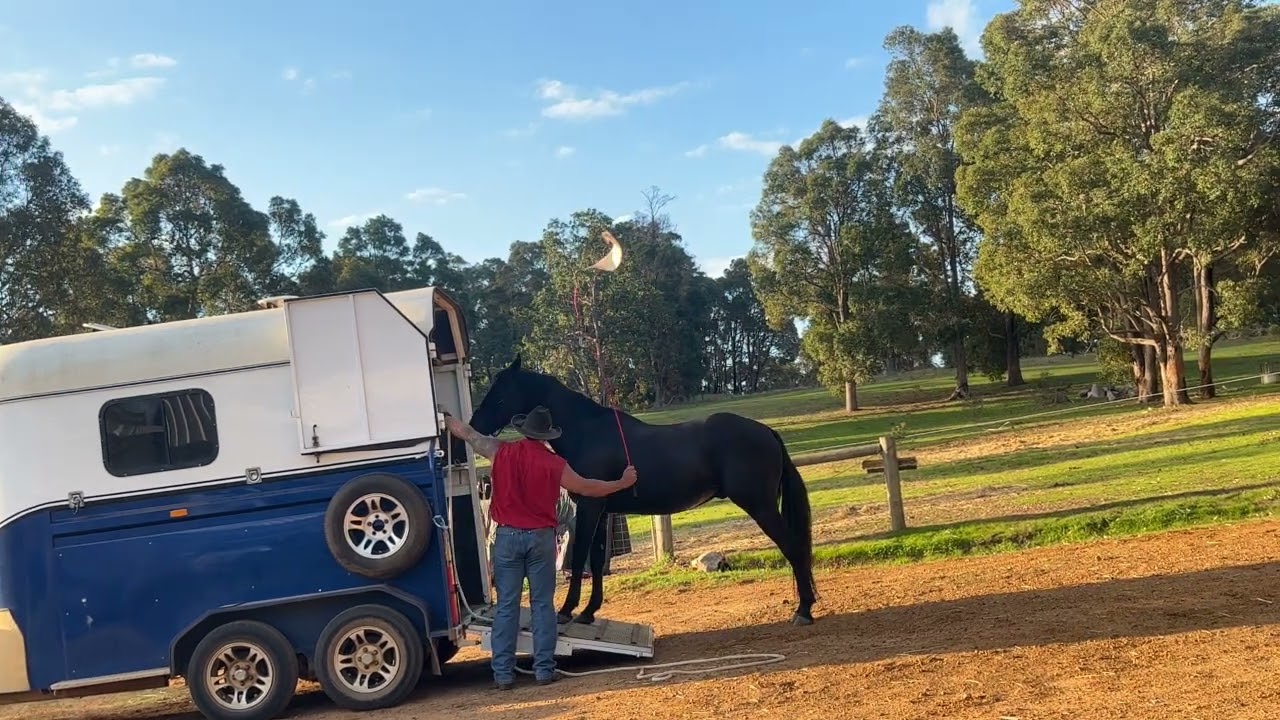 Float training 101 - loading an impossible to load horse