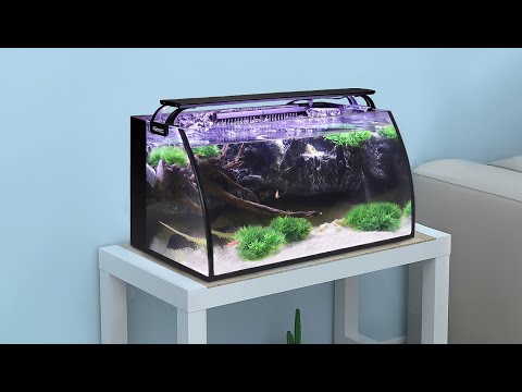 Hygger Aquarium Kit 8 Gallon Horizon Fish Tank DIY Landscaping Design *UNBOXING AND SET-UP*