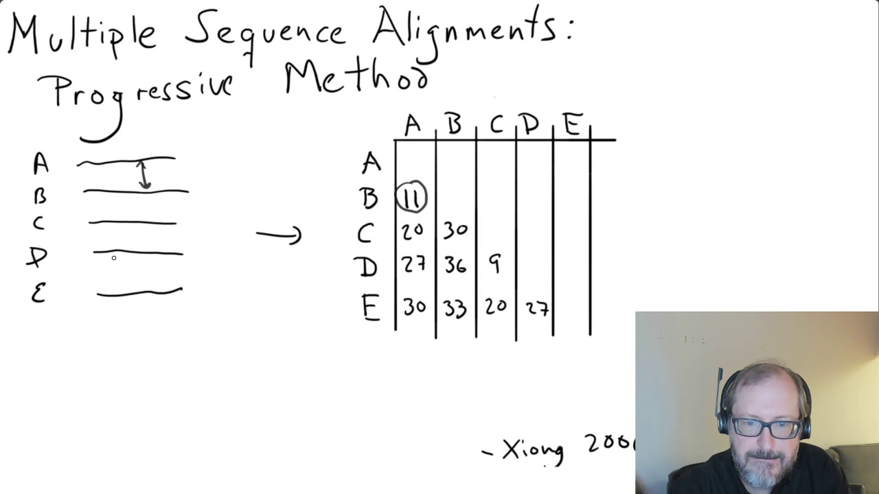 Multiple sequence alignments 2021