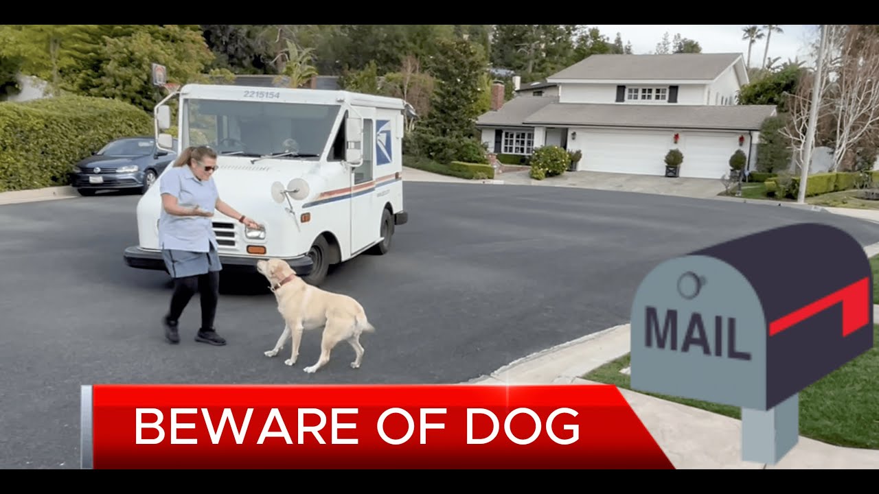 USPS Threatens To Stop Delivering Mail To Entire Block Due To Aggressive Dog