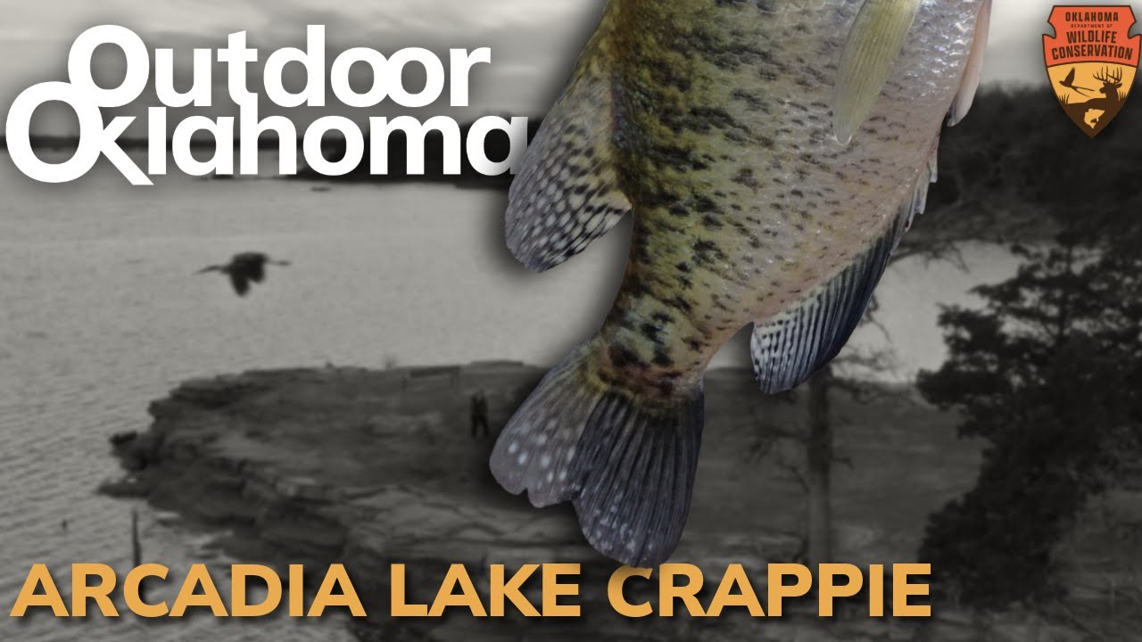 Best Strategies for Arcadia Lake Crappie Fishing