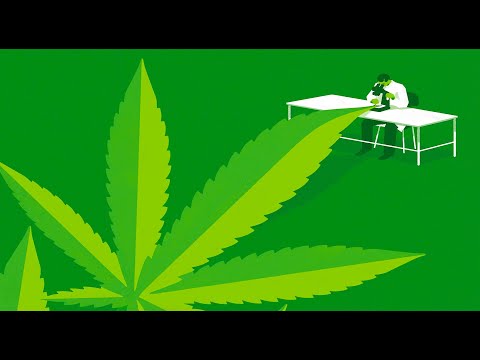 Highly Purified Cannabidiol for Epilepsy Treatment: A Systematic Review