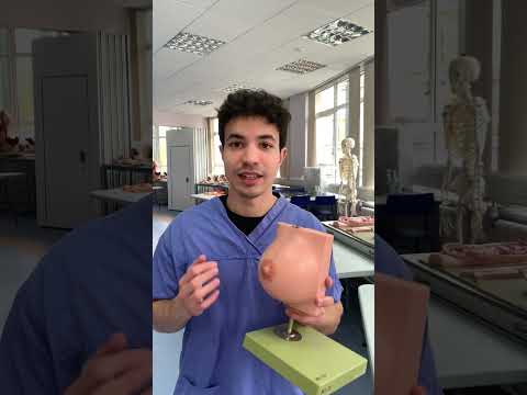 How to check if your breast lump is cancerous! The Triple Assessment #medschool #breastcancer #medic
