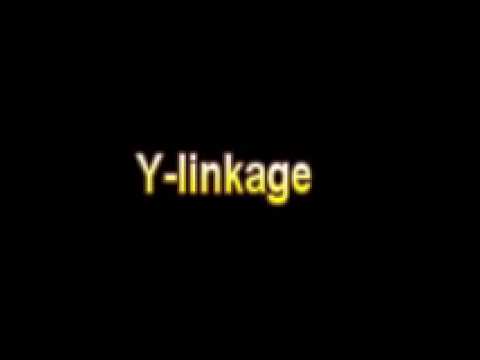 What Is The Definition Of Y linkage