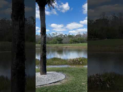 Naples Heritage Golf Club Naples FL