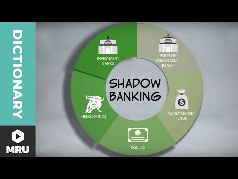 What Are Shadow Banks?