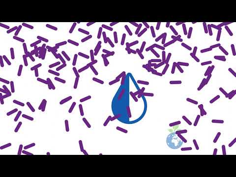 Soda Lime - sodalime Latest Price, Manufacturers & Suppliers