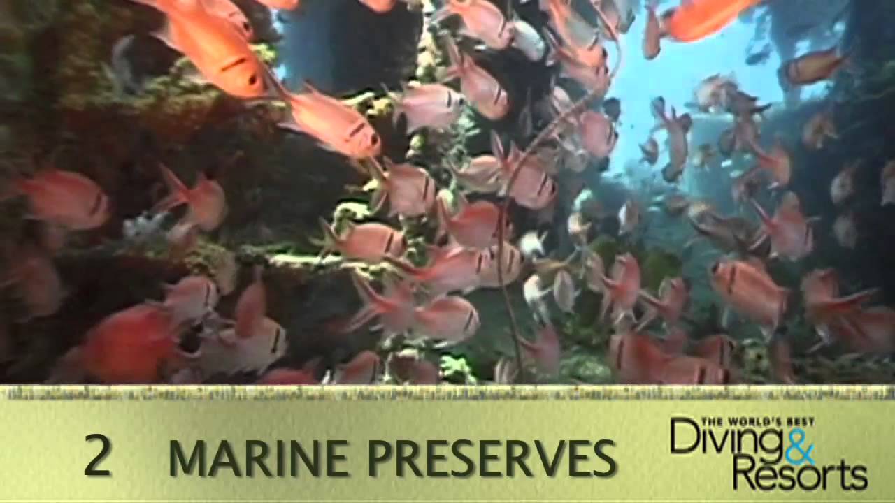 World's Best Diving and Resorts: Anse Chastanet in St. Lucia