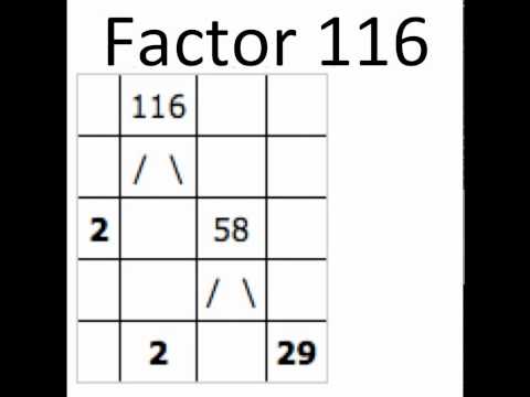Factor A 116