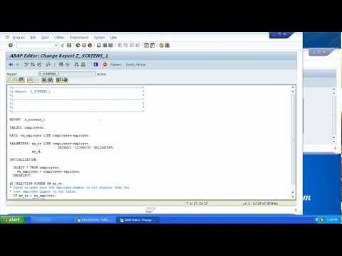 Beginners Guide - SAP ABAP Training - Selection Screens - Parameters Video Lecture - Software ...