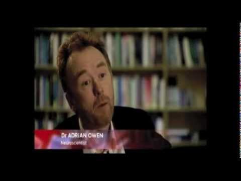 Window On The Brain - Awareness in the Vegetative State