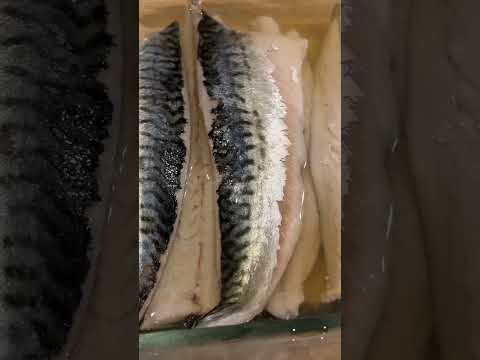 Mackerel sashimi