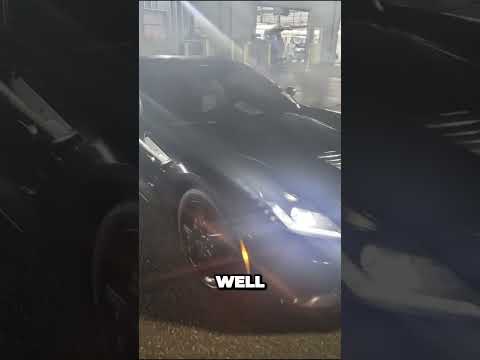 Buying the Cheapest Auction Corvette Stingray