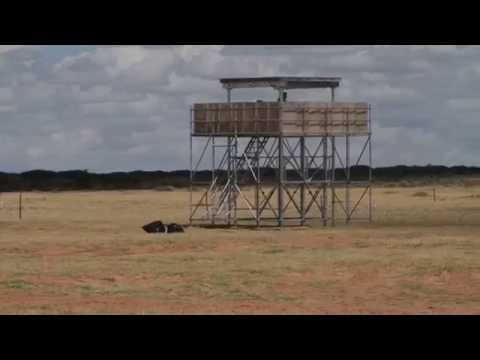 How One Remote-Controlled Gun Turret Can Do the Work of 10 Soldiers