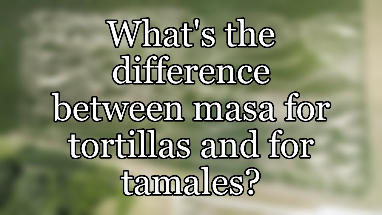 What's the difference between masa for tortillas and for tamales?