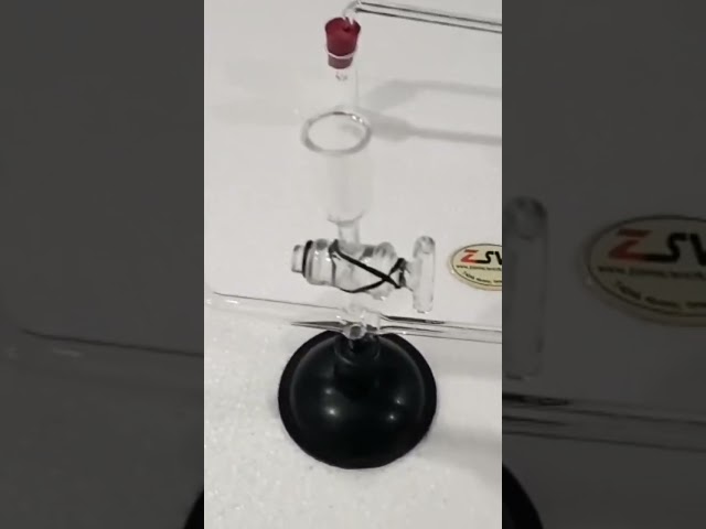 Biology Lab Equipments - Human Female Reproductive System Manufacturer ...