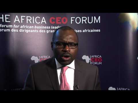 AFRICA CEO FORUM 2014 - Interview Kola Karim