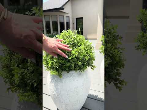 Never watering plants again 🙌🏼🪴Amazon faux plants ftw #amazonfinds #amazonhome #musthaves #patio