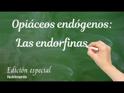 Endorfinas: los Opiáceos naturales del cuerpo