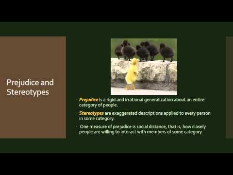 SOC 111 Chaper 14 Race and Ethnicity